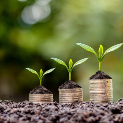 Accountants & Advisors South Melbourne | Rose Partners